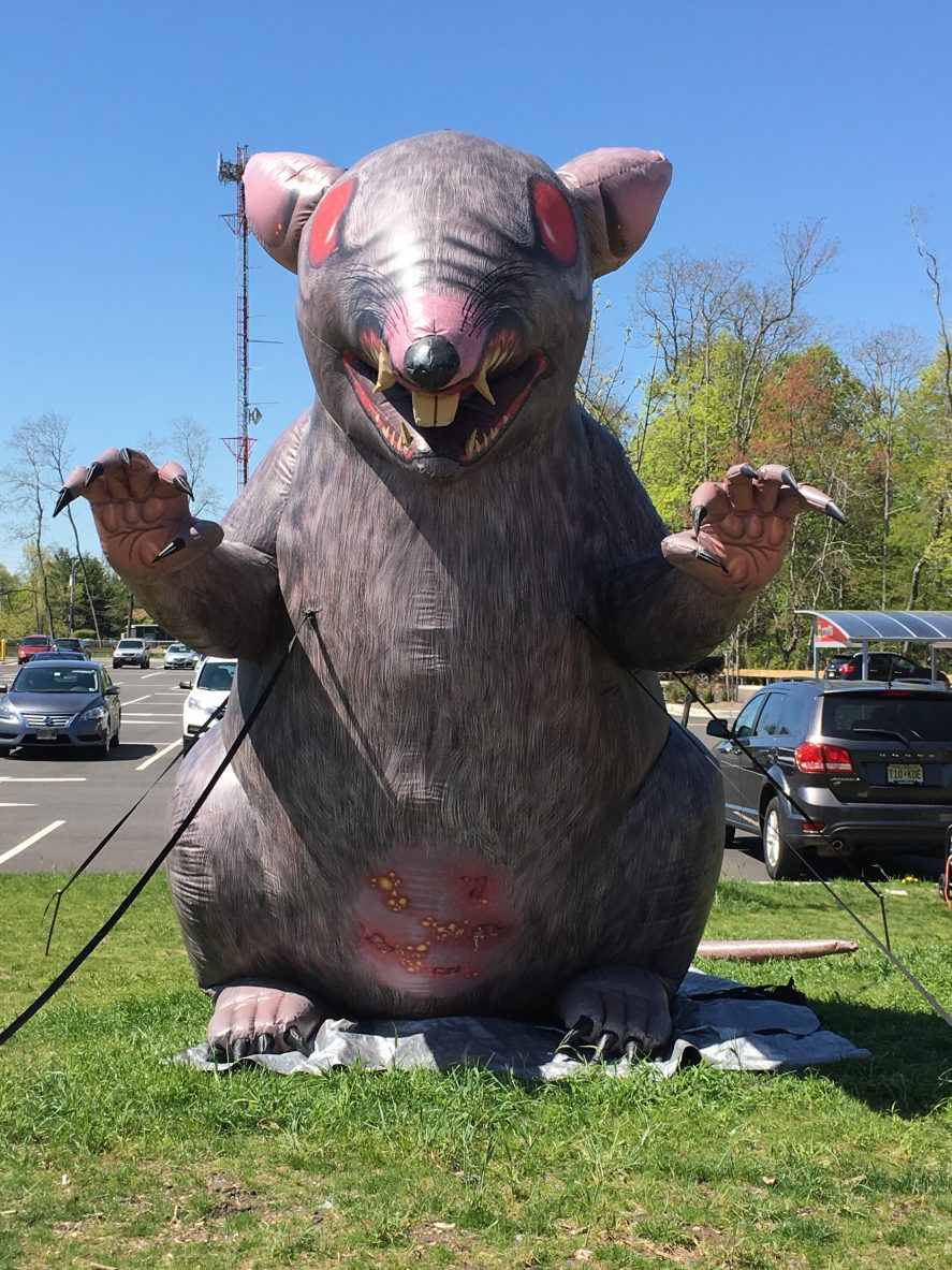 LIDL Rats • sbw